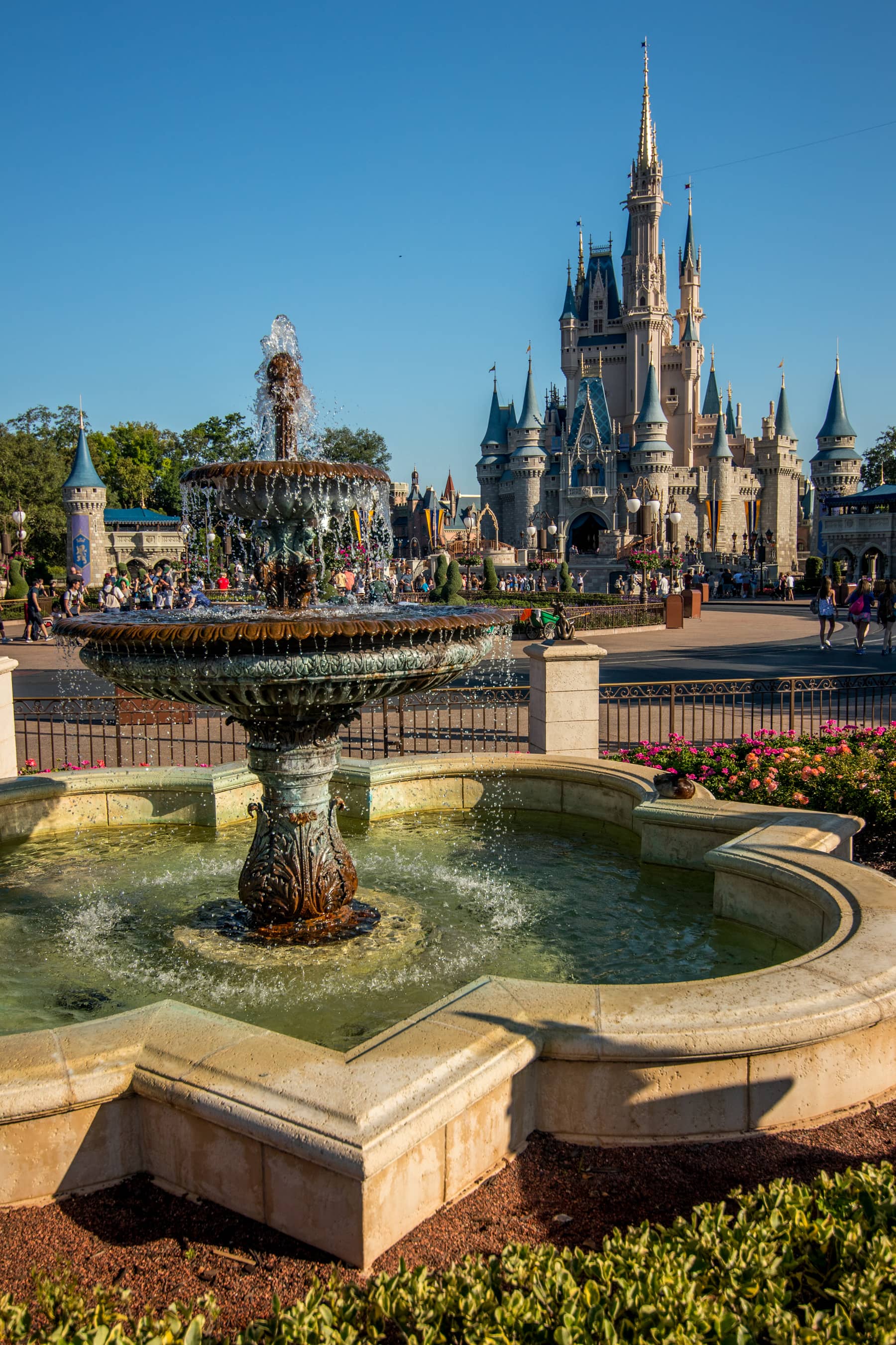 Theme Park Landscape Architect Interview: Part 1